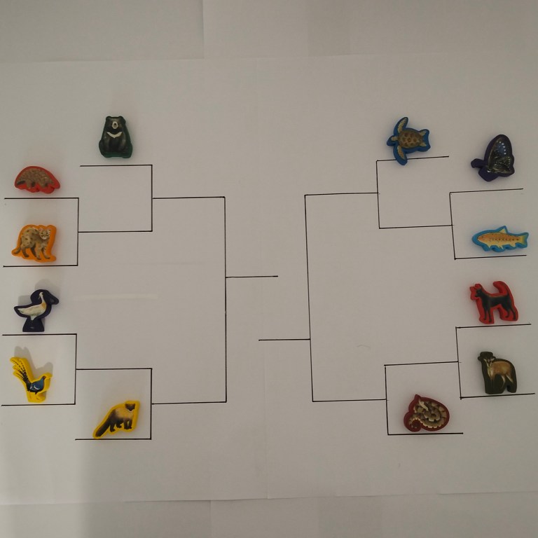 Vote for your Favorite Formosa Formosa Animals – Lynx Lake Games